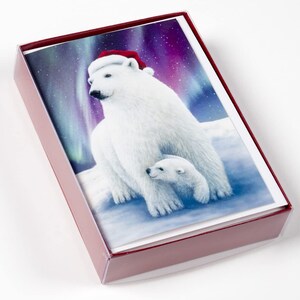 Box of Polar Bear Hugs Christmas Cards - 15 Cards / 16 Foil Lined ...