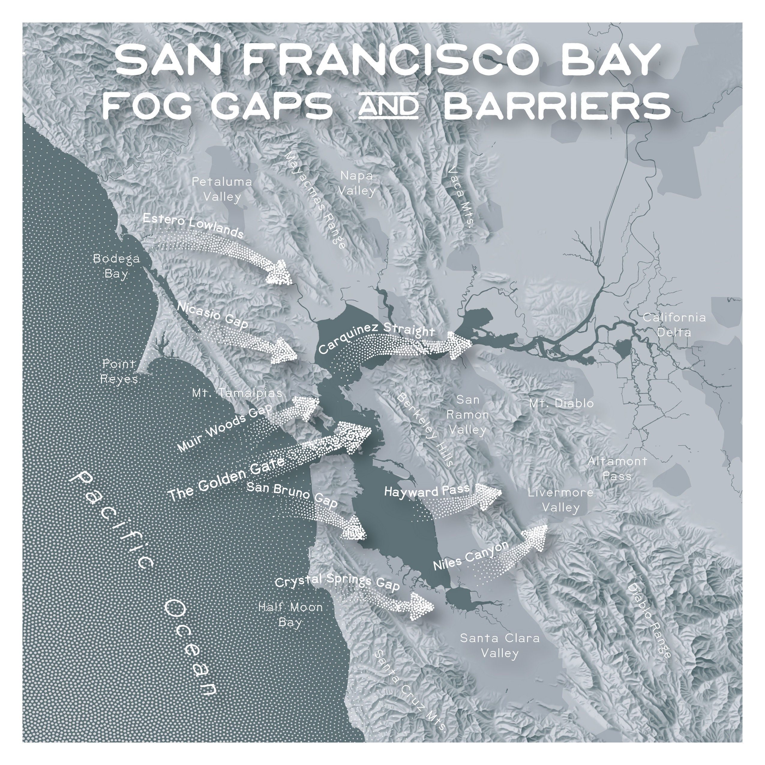 San Francisco Bay Fog Map - Etsy