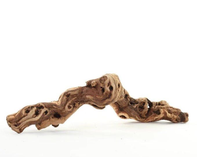 Huge 61" Huge Grape Vine Art, From Retired Napa Cabernet Grapevine 100% ...