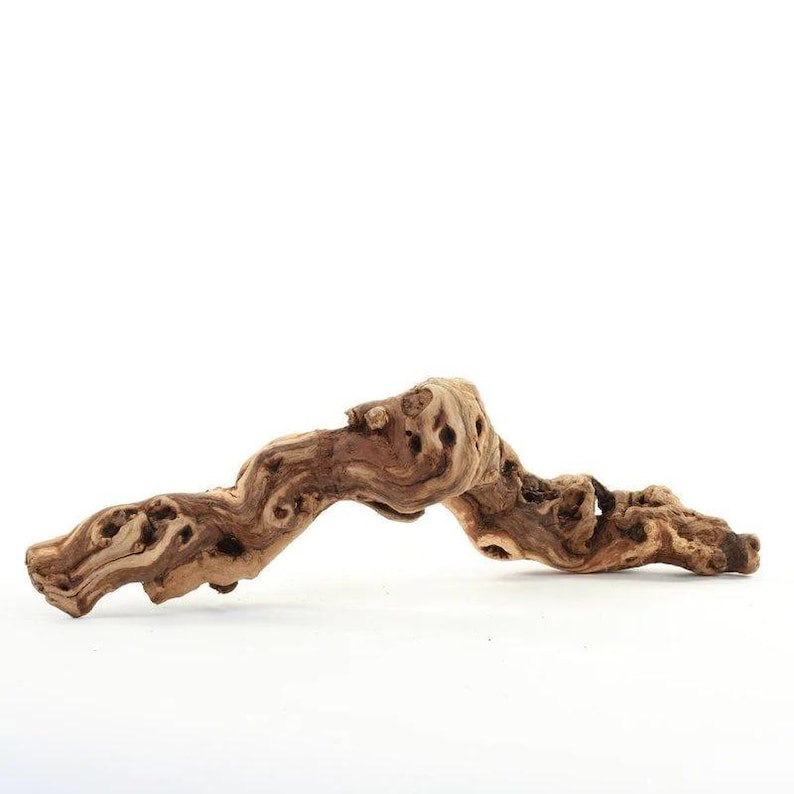 Natural Grapewood, Grape Wood Vine Branch per Pound - Etsy