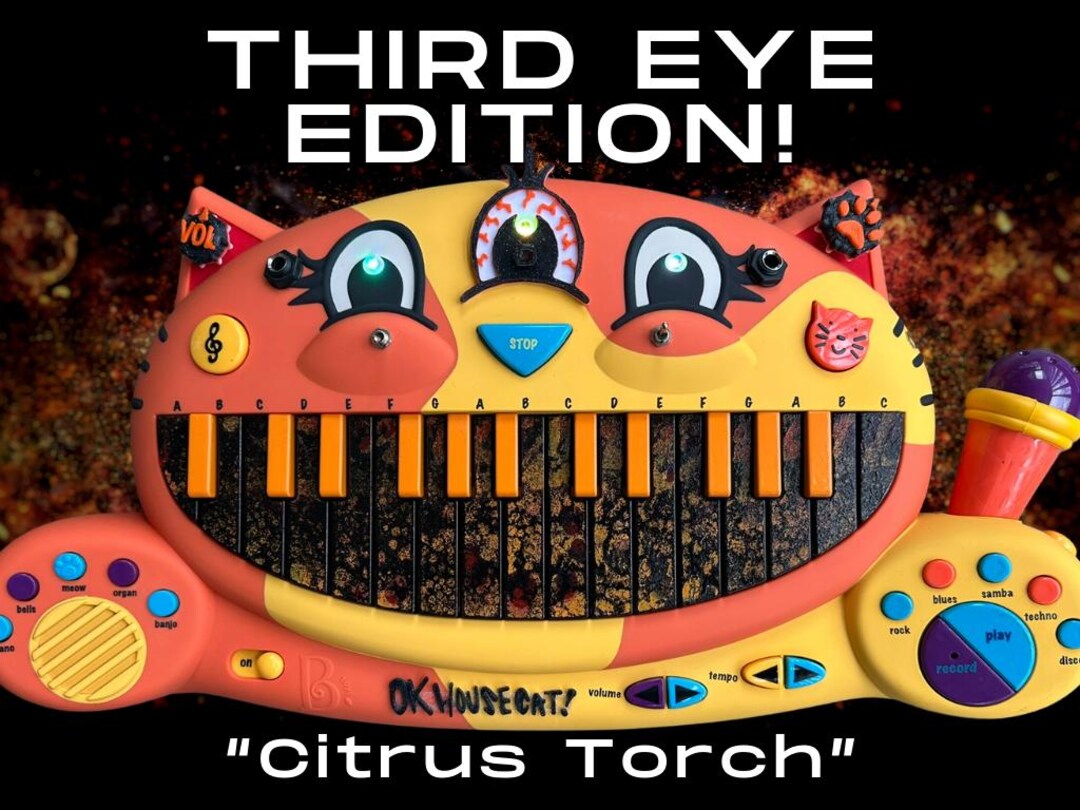 Circuit Bent MEOWSIC: Third Eye Edition citrus Torch - Etsy