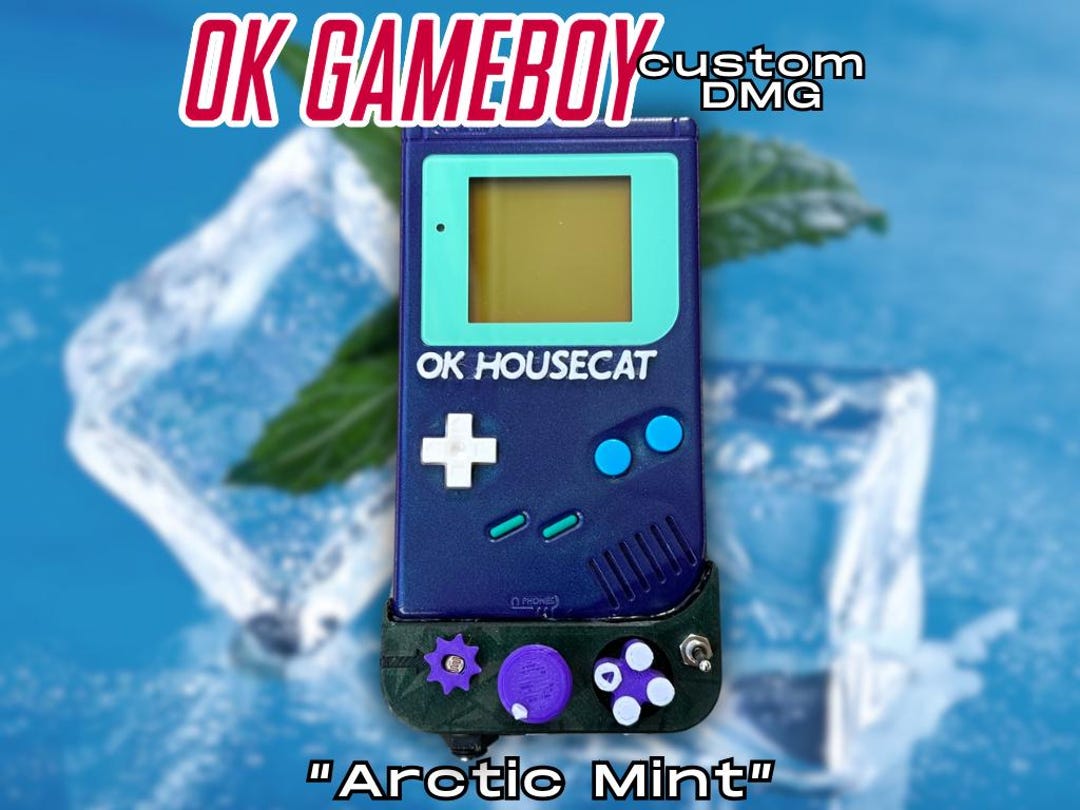 Custom Ok Gameboy "switch" (arctic Mint) - Modded DMG Retro Gaming ...