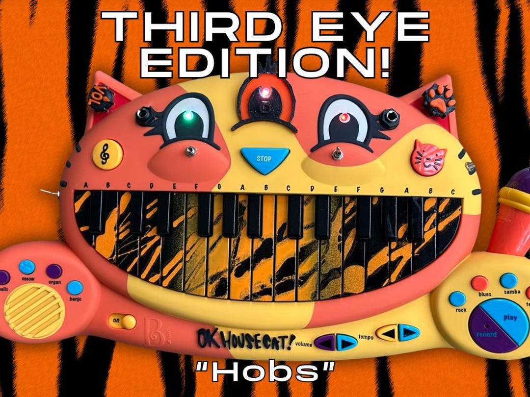 Circuit Bent MEOWSIC: Third Eye Edition ("hobs") - Etsy