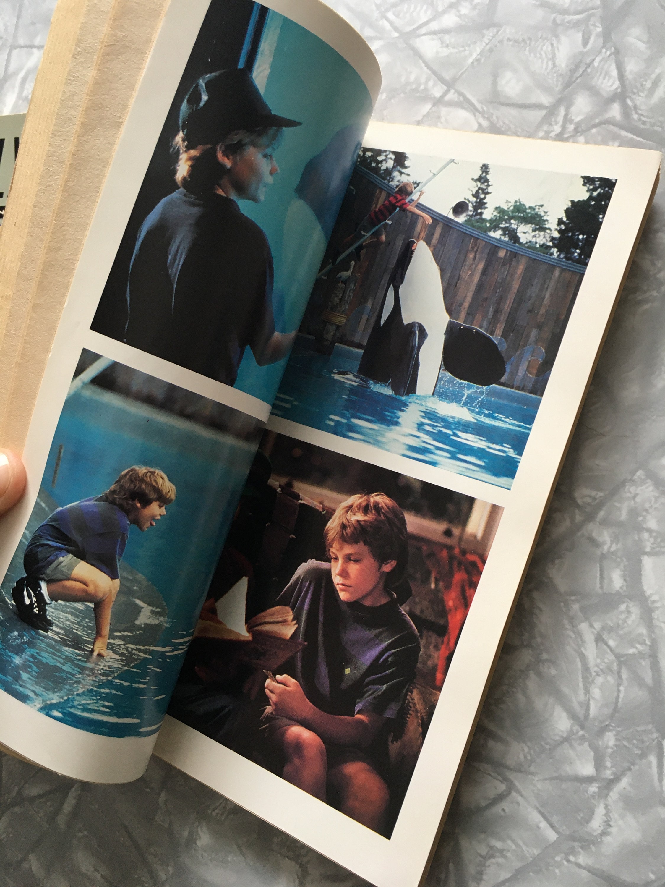 Lot of 2 1993 Free Willy Teen Novelization Chapter Book Toy | Etsy