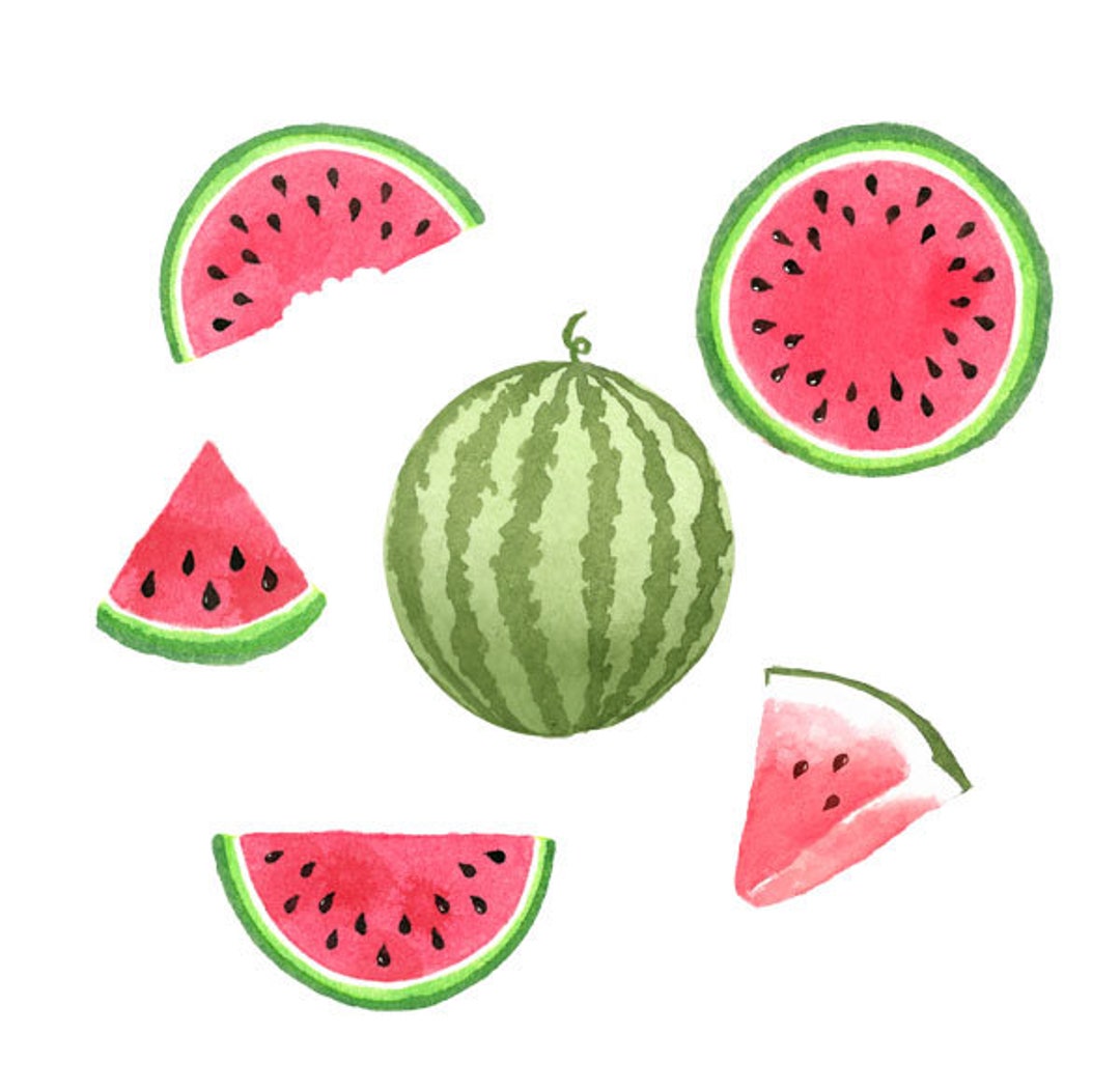 Watercolor Watermelon Clipart Set Fruit Food Summer Tropical Ripe