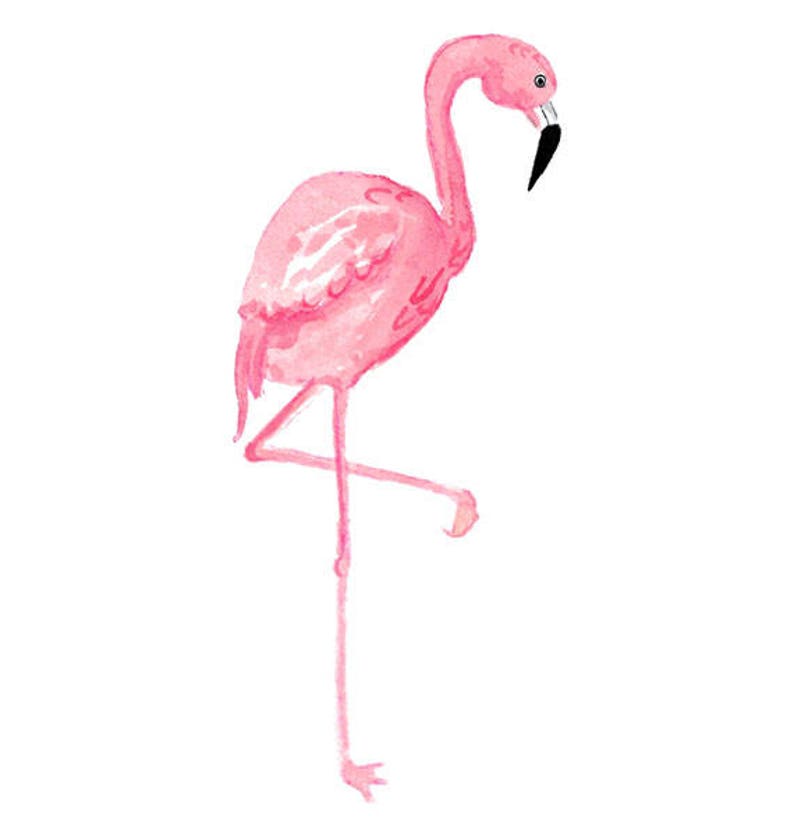 Watercolor Flamingo Clipart, Tropical, Bird, Illustration, Scrap ...