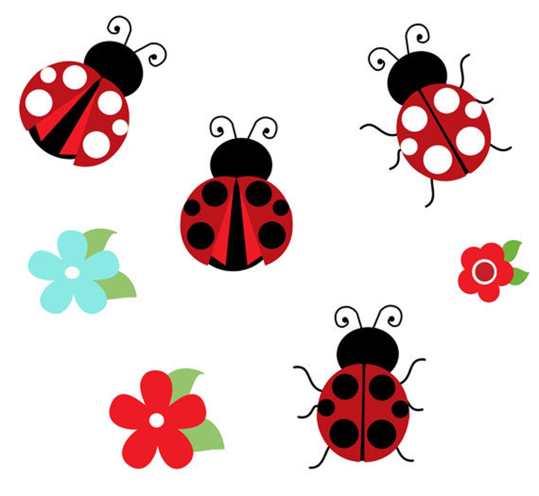 Cute Ladybug Clip Art Collection, Design, Dots, Ladybird - Etsy