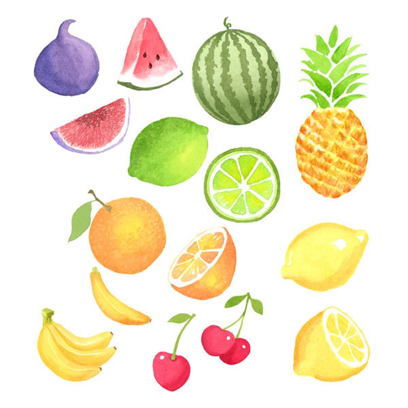 Watercolor Summer Fruits, Clipart, Set, Citrus, Fruit, Healthy, Scrap ...