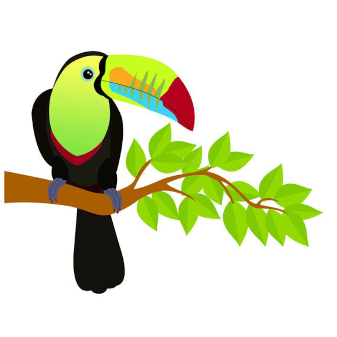 Toucan Bird Clip Art, Tropical, Summer, Colorful Beak, Illustration ...