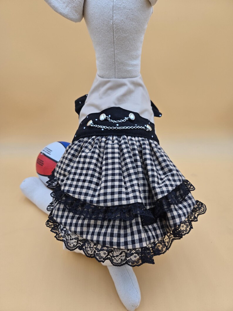 Handmade Dog Steampunk Costume/dress Medium - Etsy