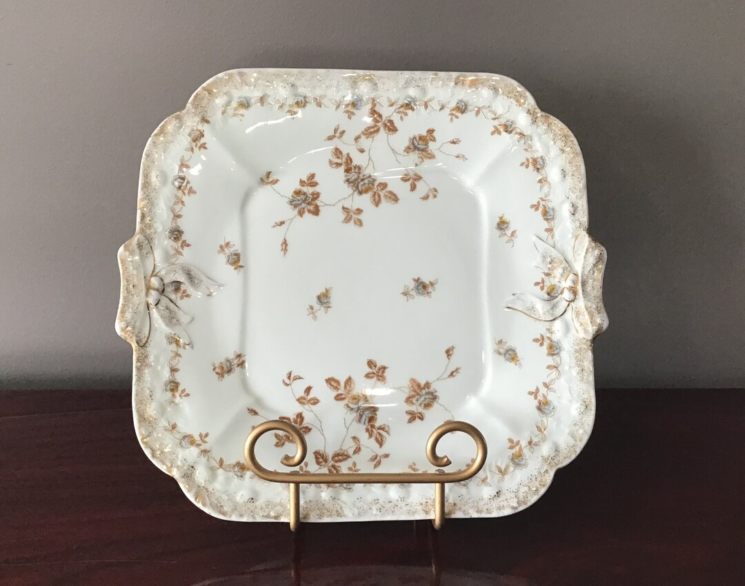 Antique Leonard Vienna Austria Platter With Light Brown and Blue Floral ...