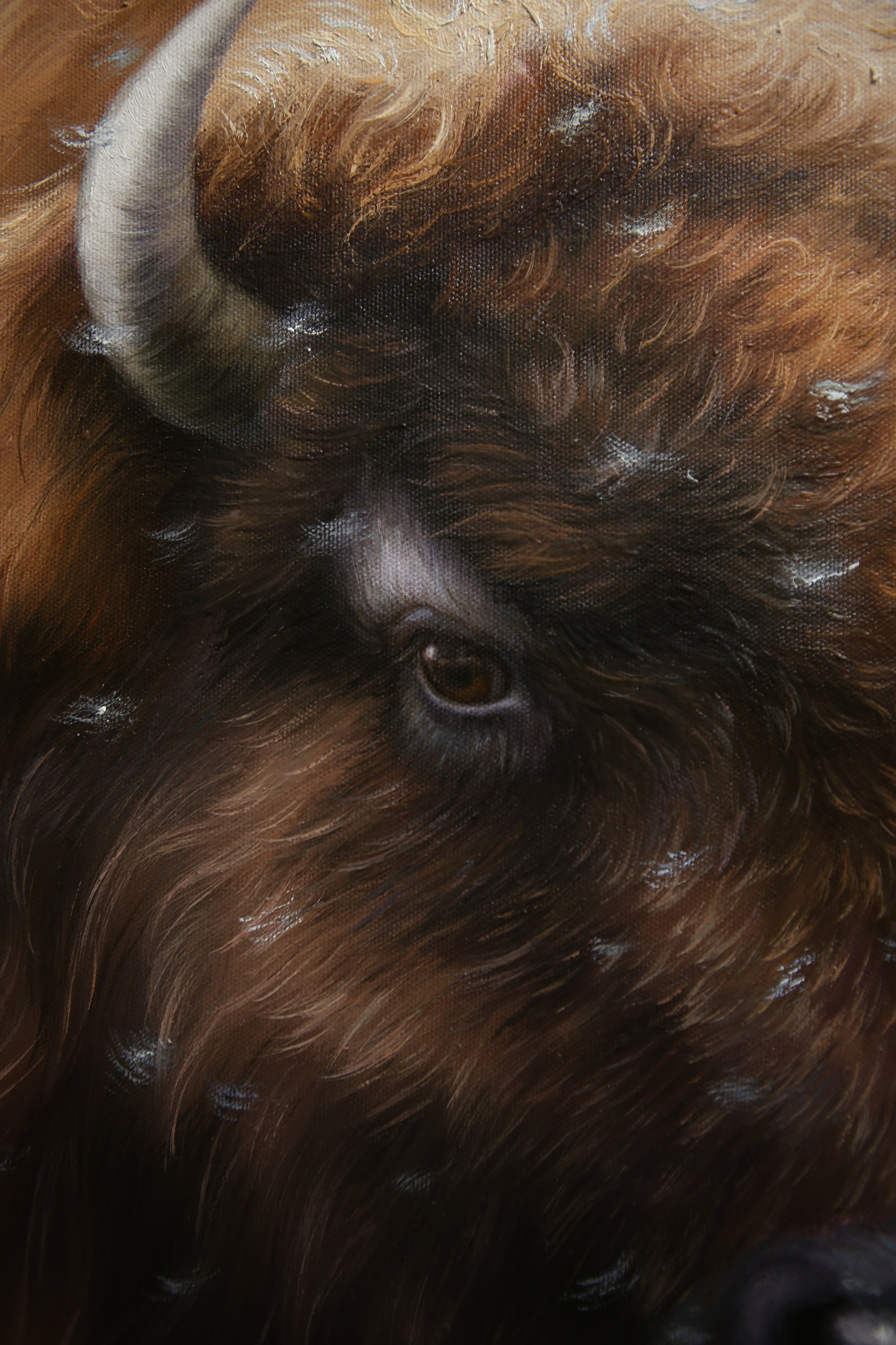 TWO, Pair of Bison, Buffalo Oil Painting, Buffalo Art, Bison Oil ...