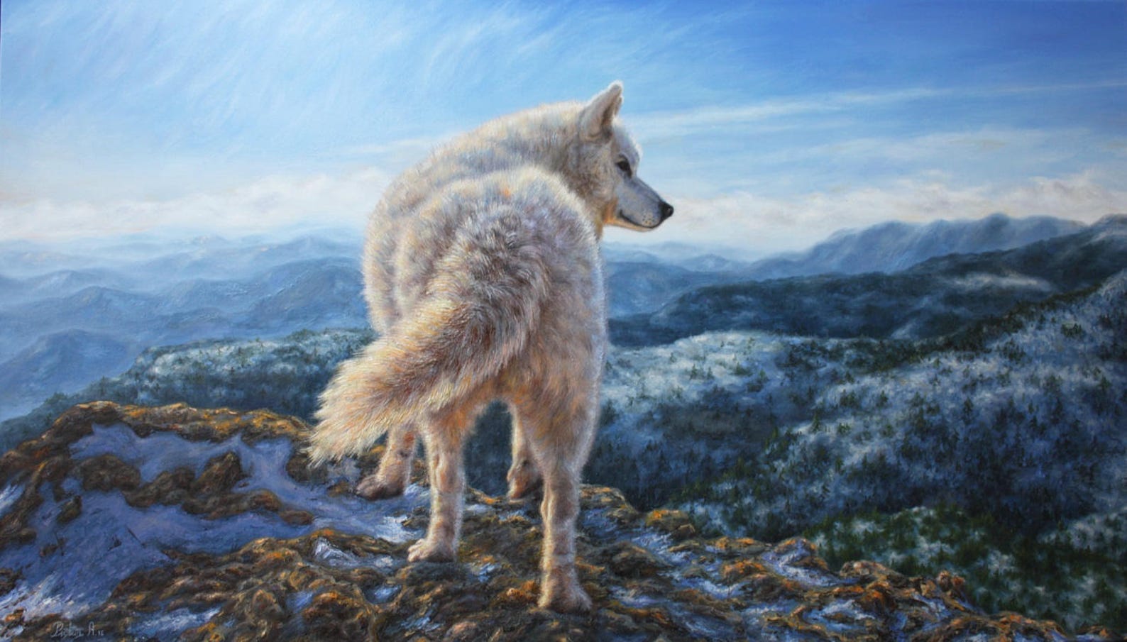 Wall Art, Home Decor, Canvas Art, White Wolf, Original Painting, White ...