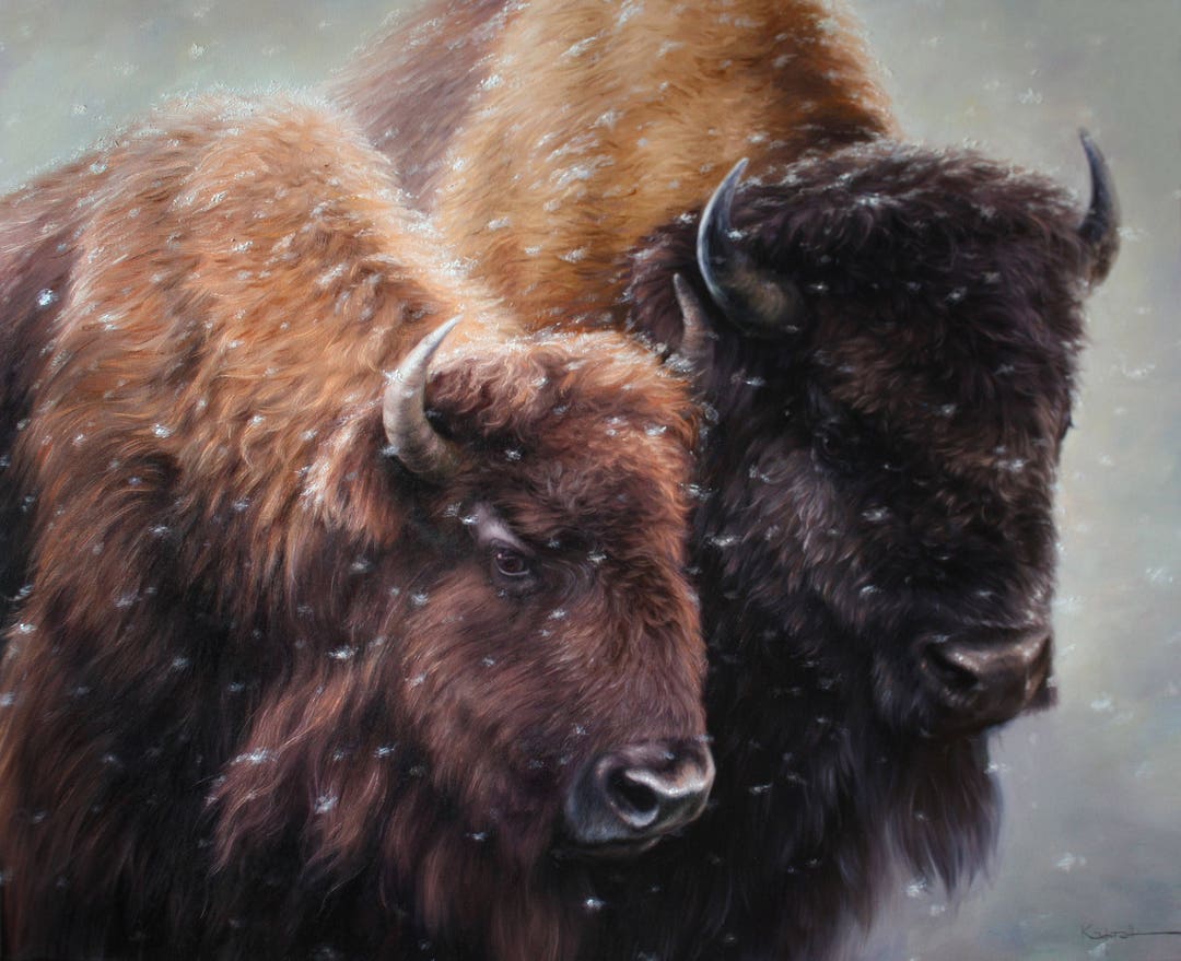 TWO, Pair of Bison, Buffalo Oil Painting, Buffalo Art, Bison Oil ...