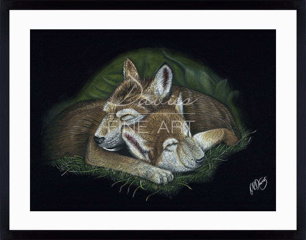 Grey Wolf Cubs Drawing