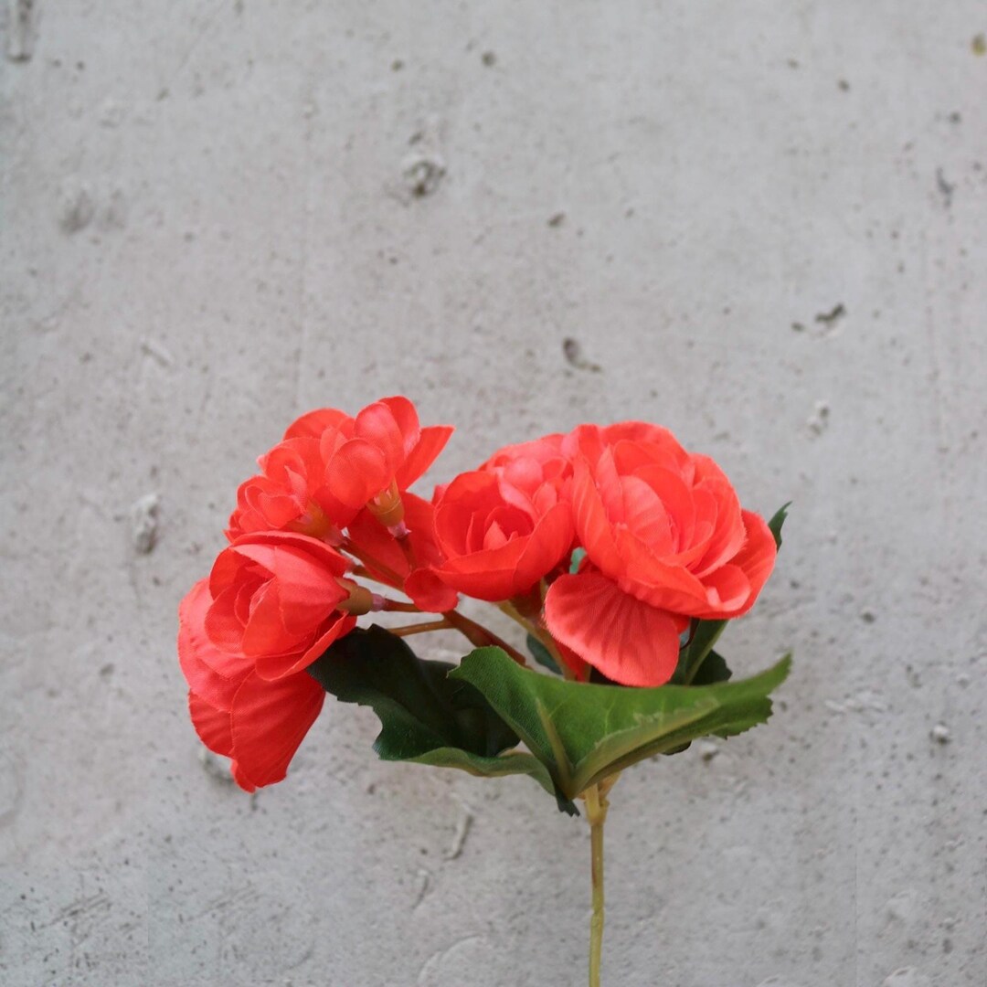 Begonia | Artificial Lifelike Orange Begonia Short Stem Floral ...