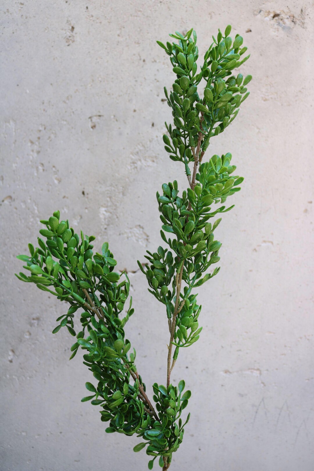 Boxwood | Artificial Boxwood Branch Lifelike Faux Greenery Stem Home ...