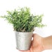 Rosemary Plant in Galvanized Bucket Artificial Plant - Etsy