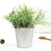 Rosemary Plant in Galvanized Bucket Artificial Plant - Etsy
