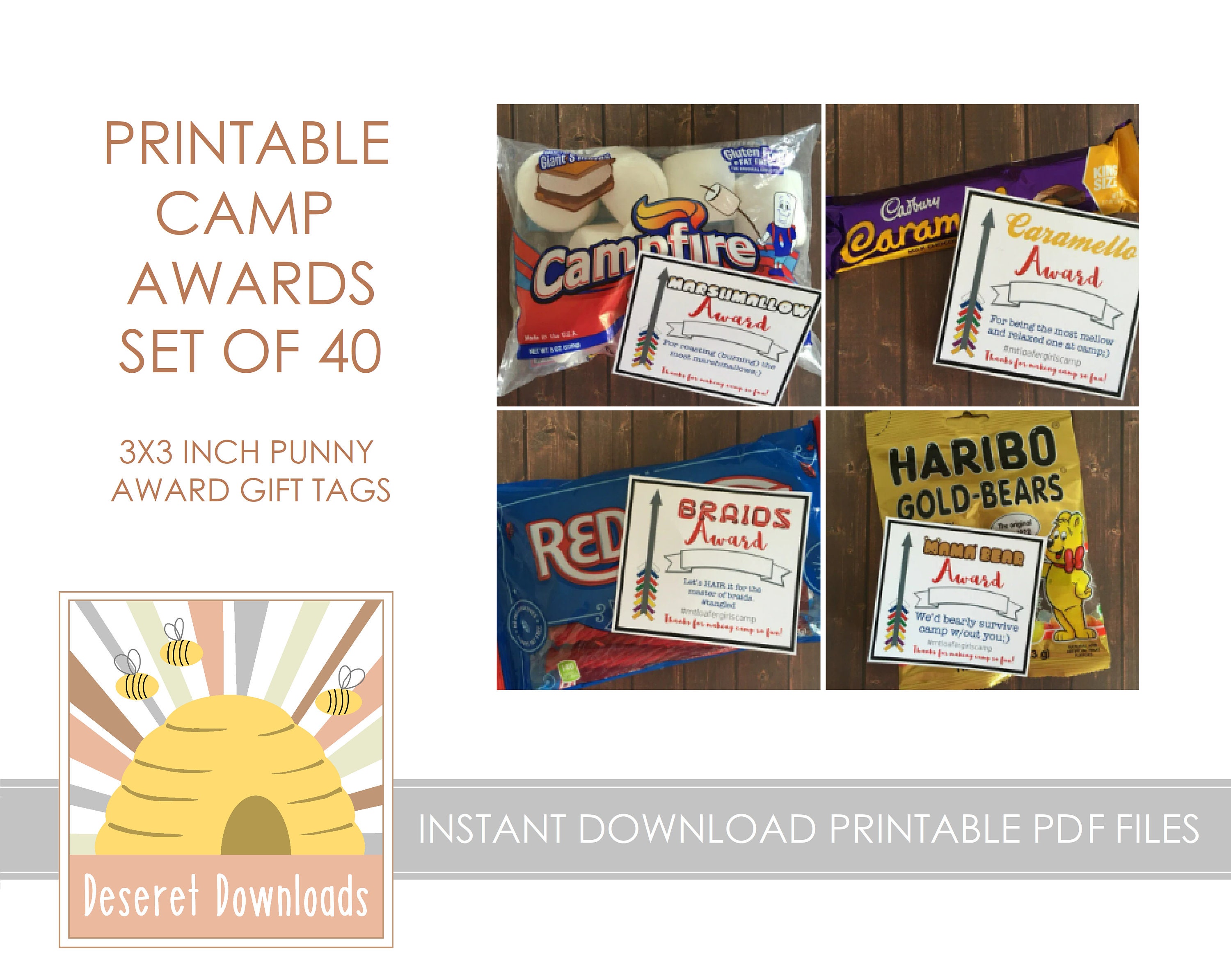 PRINTABLE Girls Camp Awards Set of 40 Camping Gift Tags Young Women ...