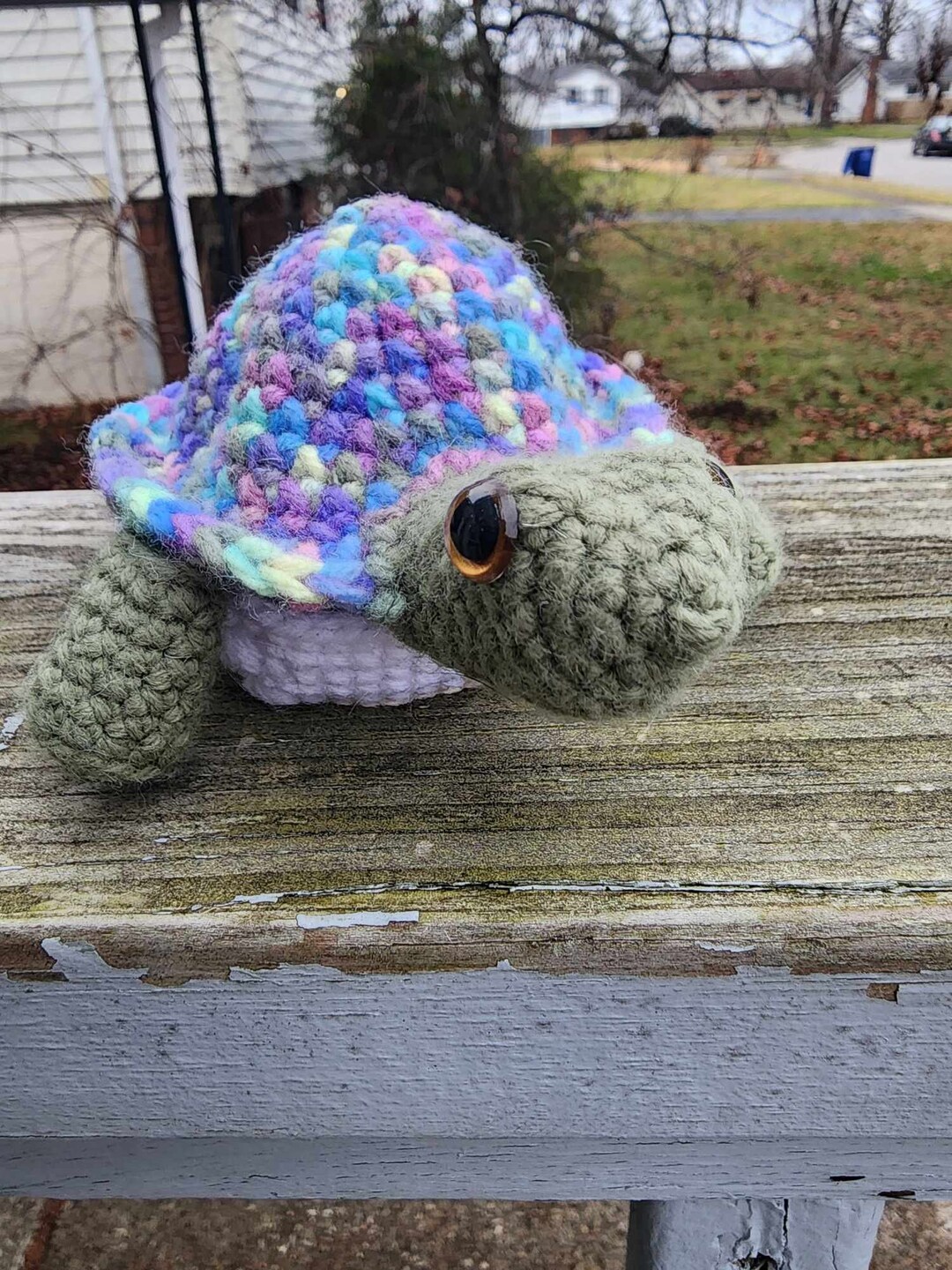 Little Secret Box Turtle - Etsy