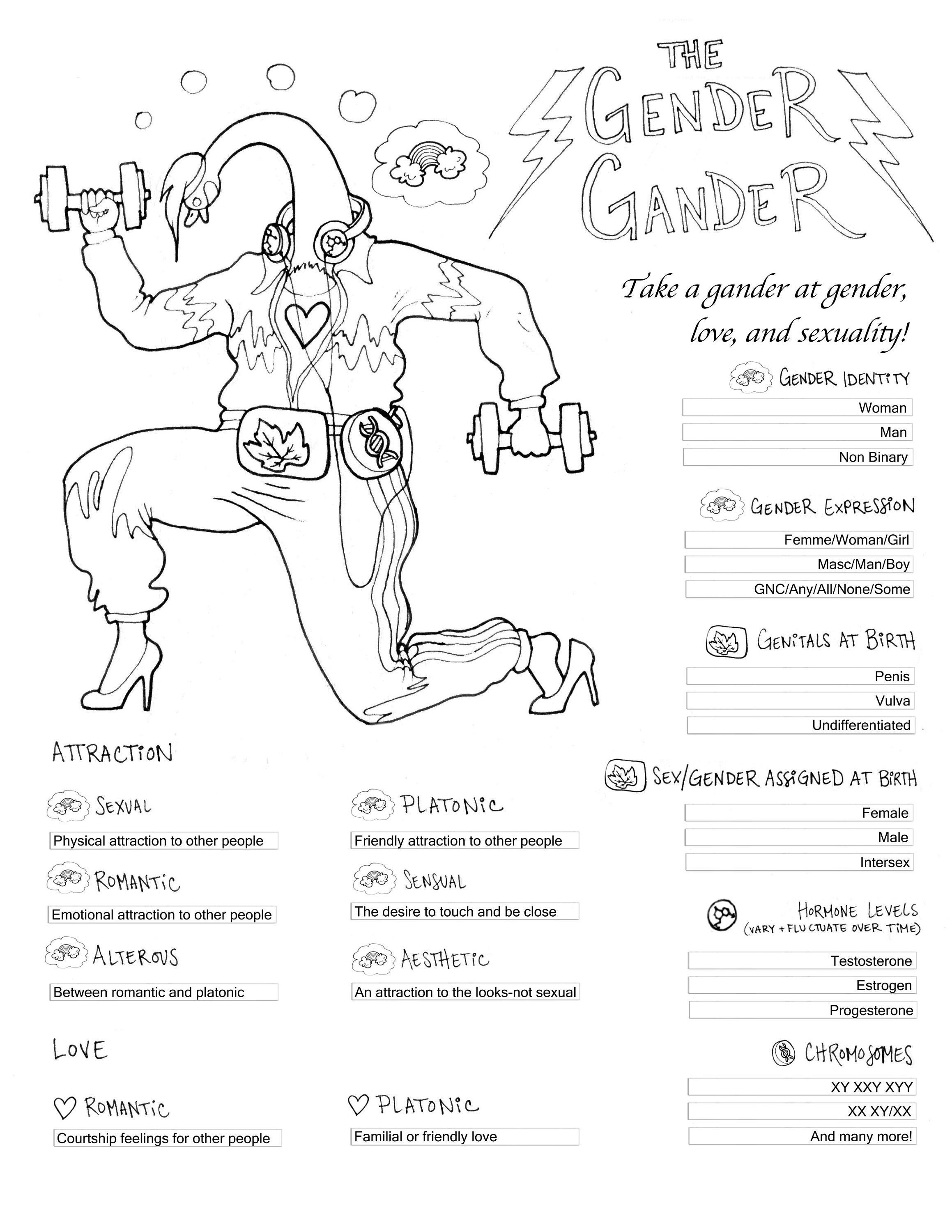 The Gender Gander Coloring Page - Etsy