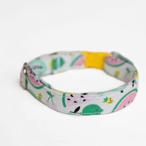 Fruit Cat Collar Summer Cat Collar Melon Cat Collar Watermelon Collar ...