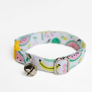 Fruit Cat Collar Summer Cat Collar Melon Cat Collar Watermelon Collar ...