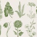 Botanical Print Green Print Green Wall Art Printable Art - Etsy