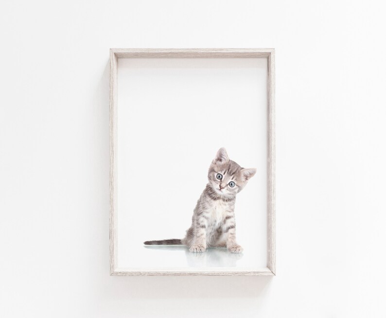 Kitten Print Printable Wall Art Printables Minimalist | Etsy