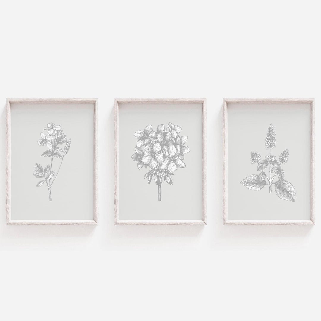 Flower Prints, Grey, Printable, Set of Prints, Botanical Prints, Grey ...