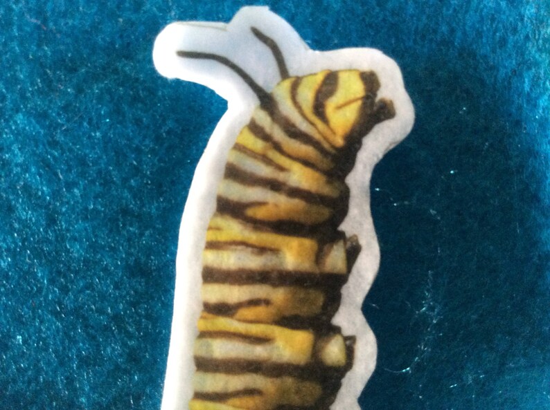 Butterfly life cycle song//felt board storie//nature //felt | Etsy