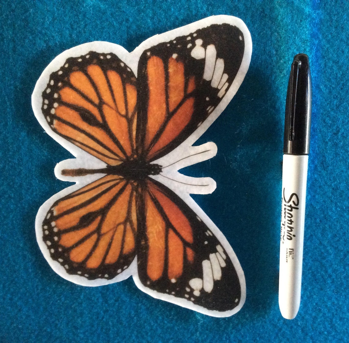 Butterfly life cycle song//felt board storie//nature //felt | Etsy