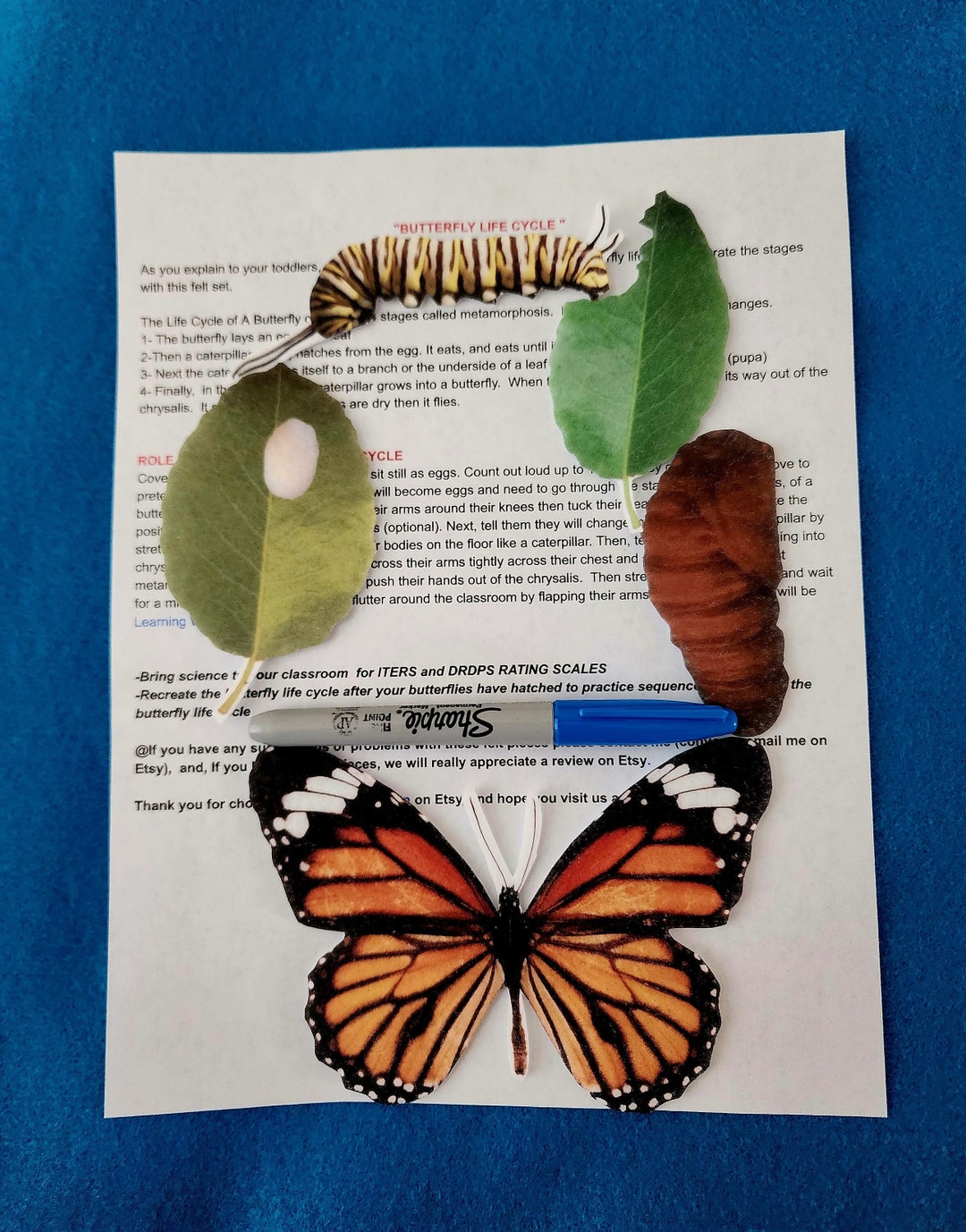 Butterfly Life Cycle Song//felt Board Storie//nature //felt Stories ...