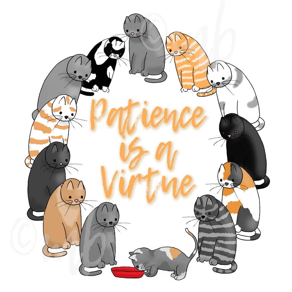 Cat Motivational Print, Patience is a Virtue Print, Cats, Kitten, Cats ...