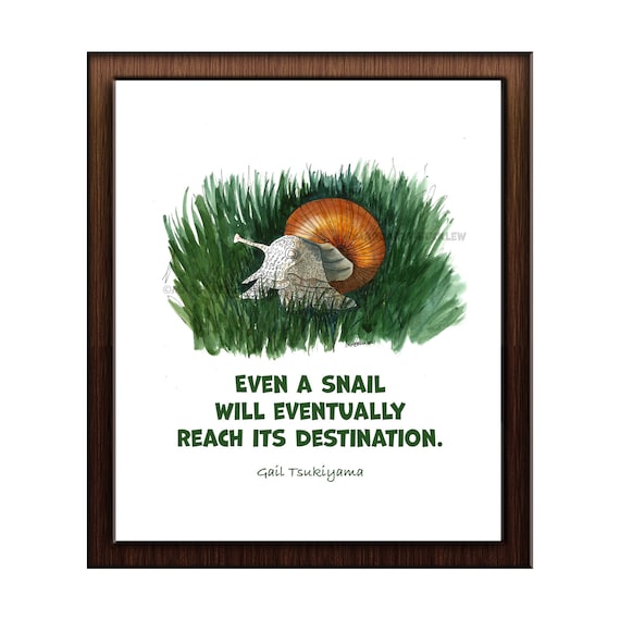 Inspirational Snail Quotes