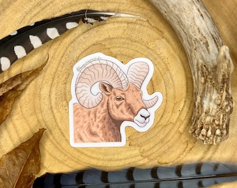 Bighorn Sheep Sticker - Etsy