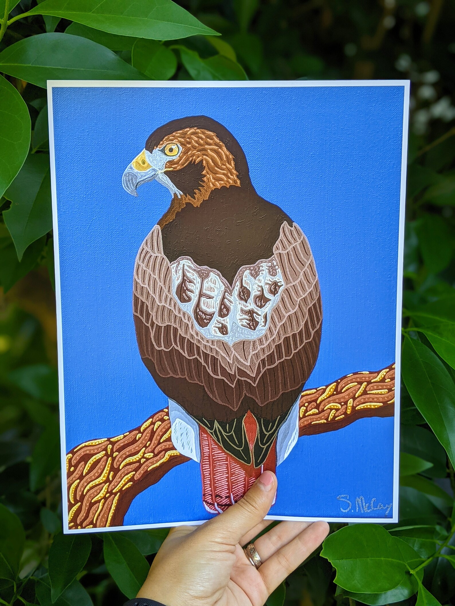 Red-tailed Hawk Print - Etsy