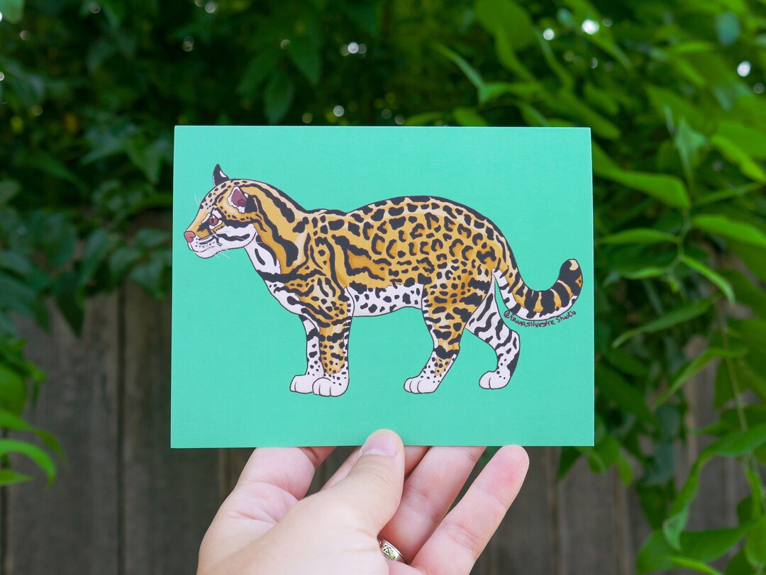 Ocelot Mini Art Print - Etsy