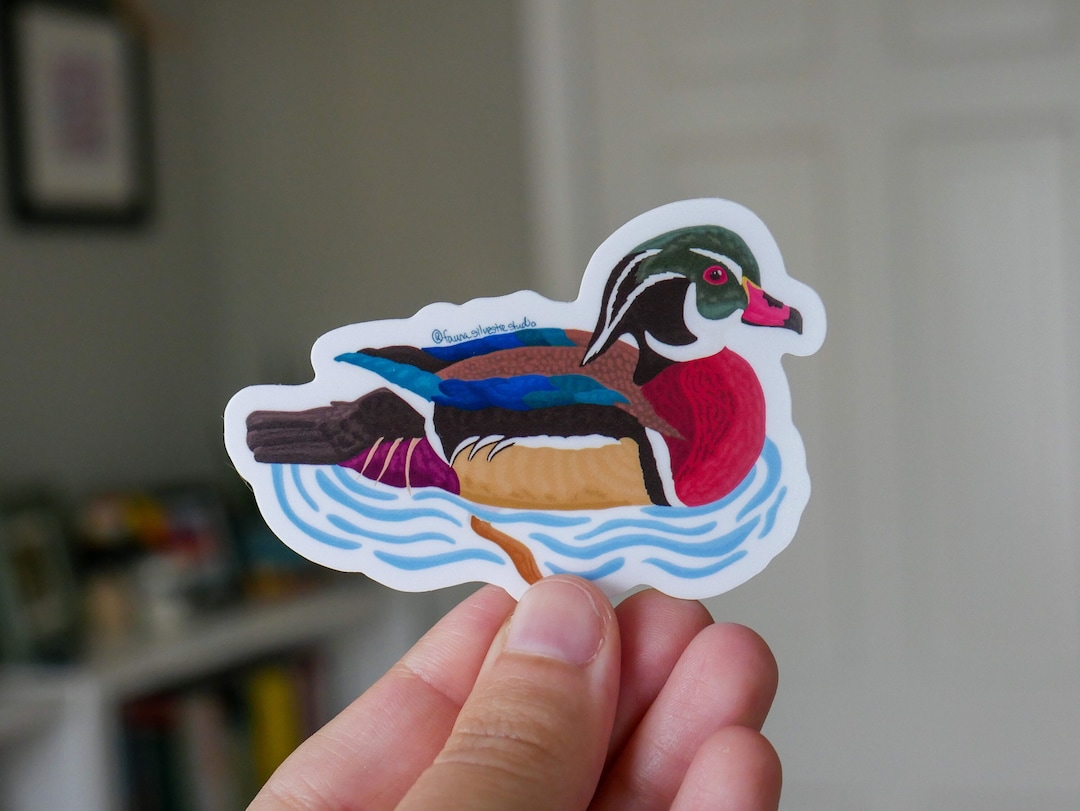 Wood Duck Sticker - Etsy
