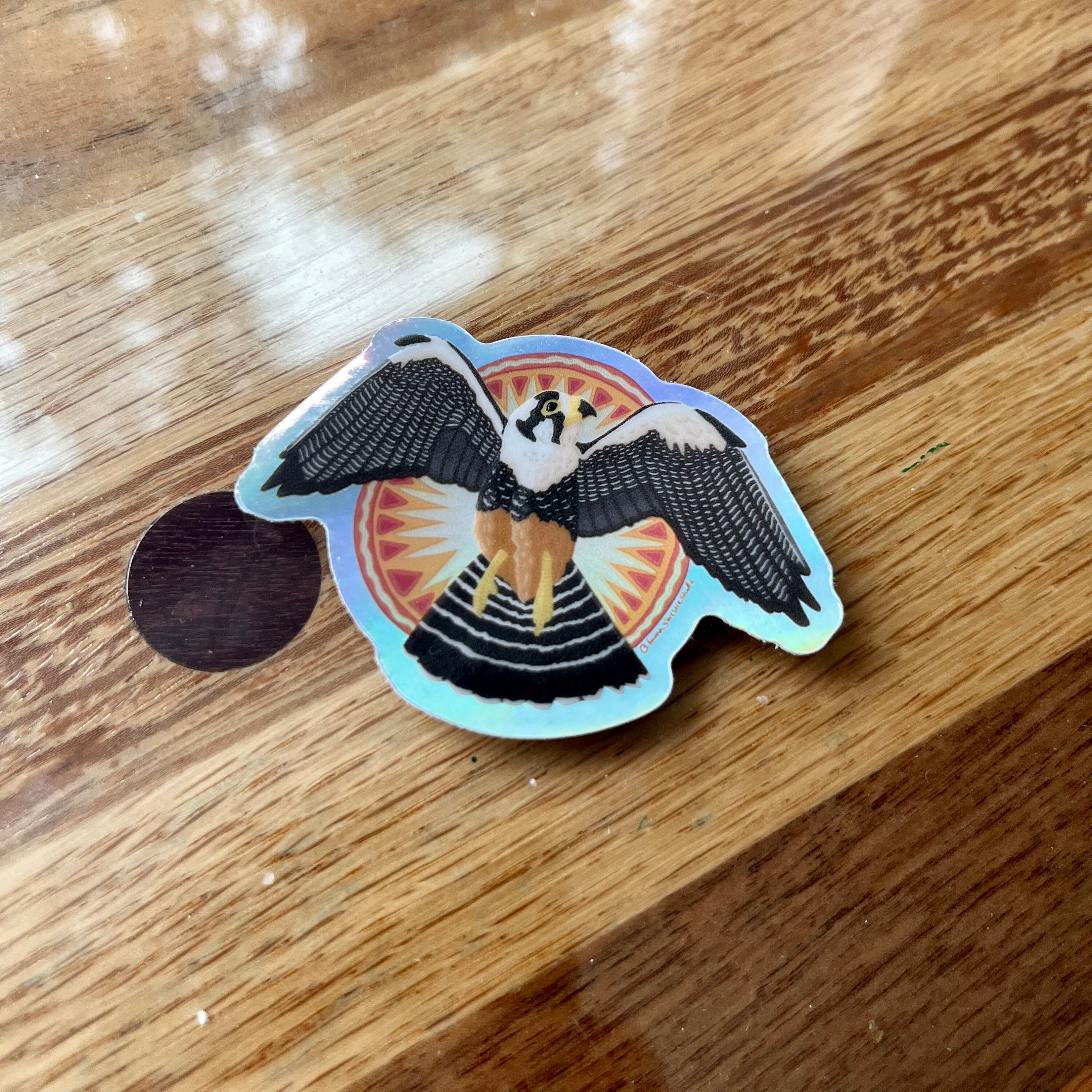 Holographic Aplomado Falcon Sticker - Etsy