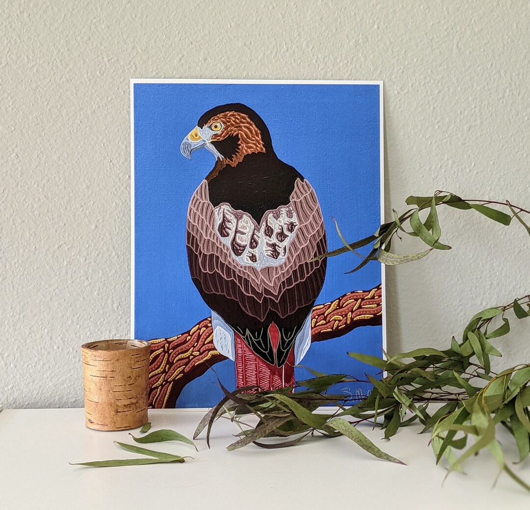 Red-tailed Hawk Print - Etsy