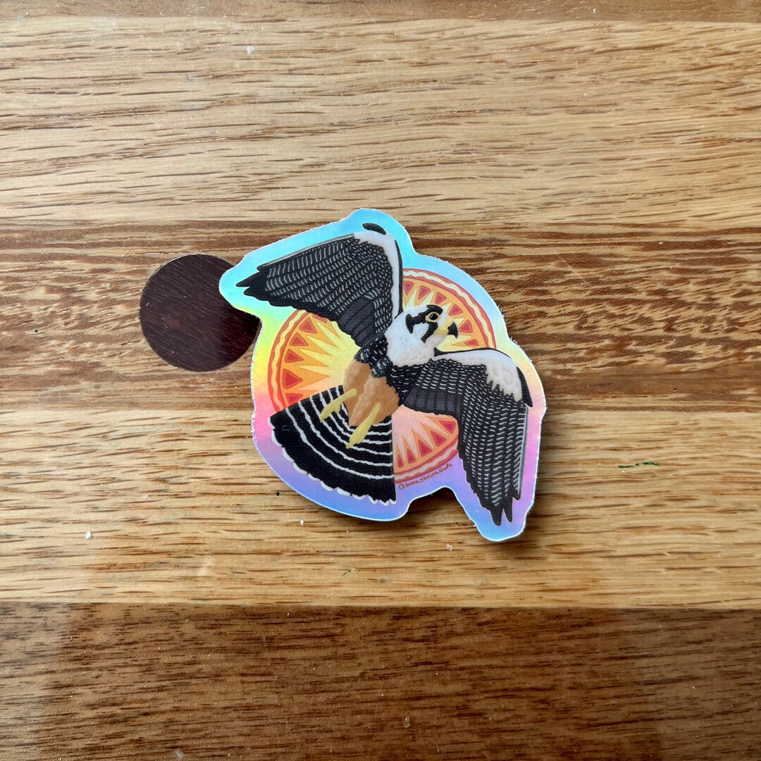Holographic Aplomado Falcon Sticker - Etsy