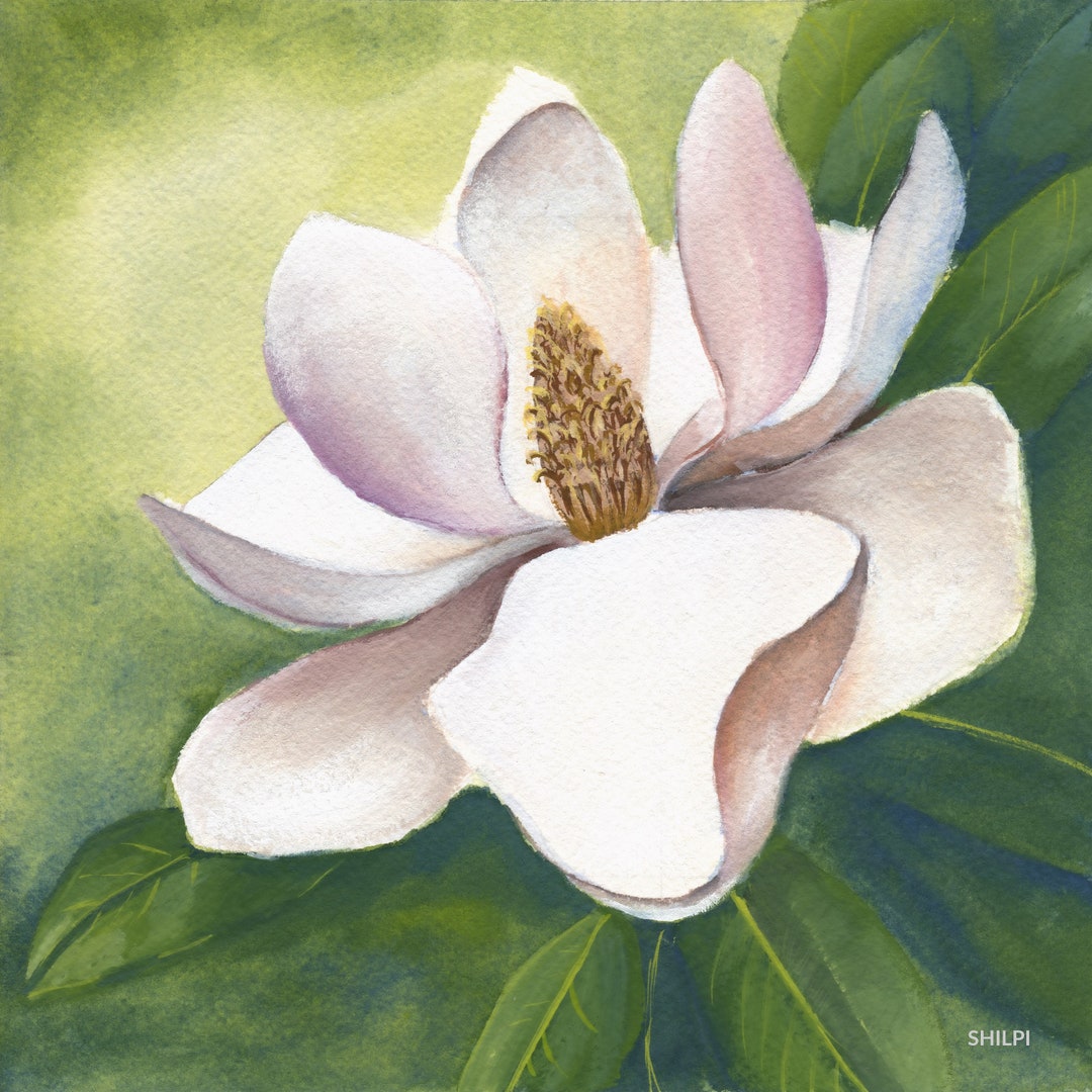 Southern Magnolia Art Print Florida Flower Series Original Gouache ...