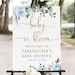 Light Blue Baby in Bloom Welcome Sign, Blue Baby Shower Welcome Sign ...