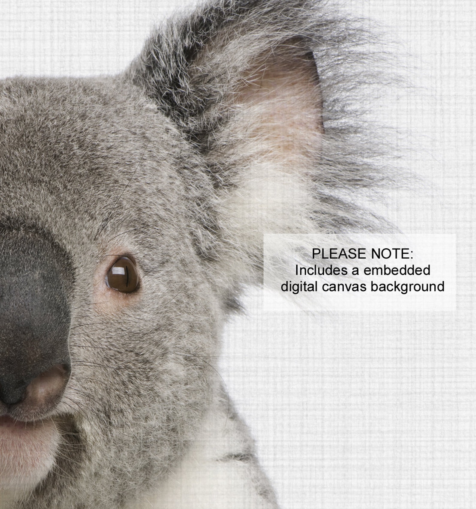 Koala Print, Nursery Prints, Animals Printable, Kids Room Decor, Modern ...