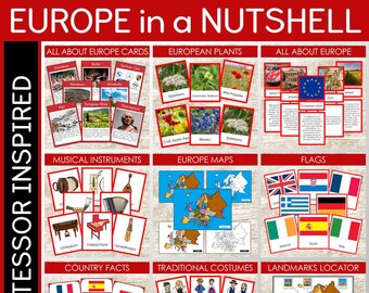 North American Flags Montessori 3 Part Cards - Etsy