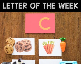 Montessori Musical Instruments 3 Part Cards - Etsy