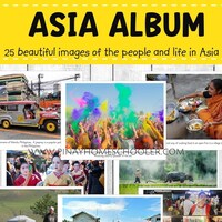 24 Rainforest Flashcards, Flora and Fauna, Montessori Flashcards ...