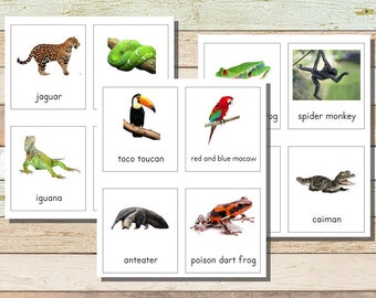 North American Flags Montessori 3 Part Cards - Etsy